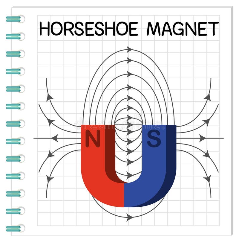 Horseshoe Magnet Diagram for Education Stock Vector - Illustration of ...