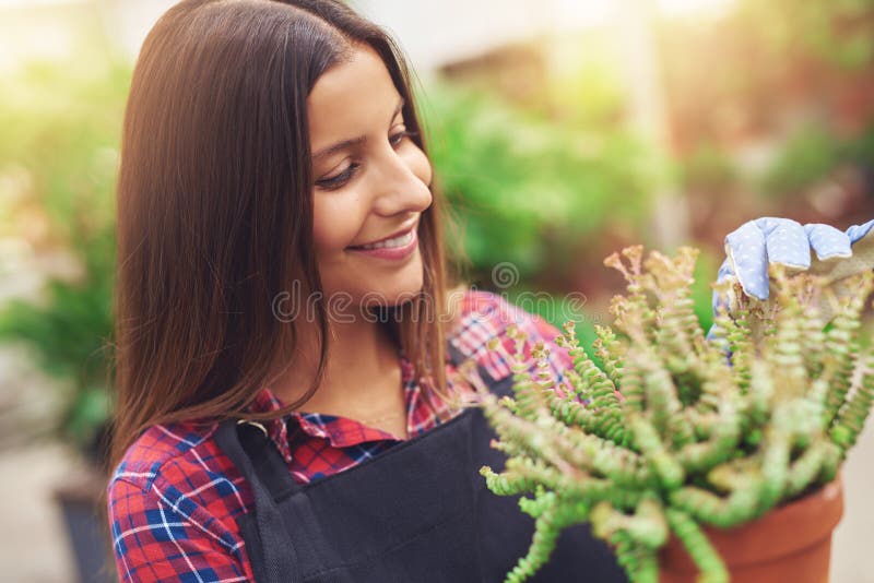 Horticulturalist Sonriente Que Trabaja En Un Invernadero Imagen de ...
