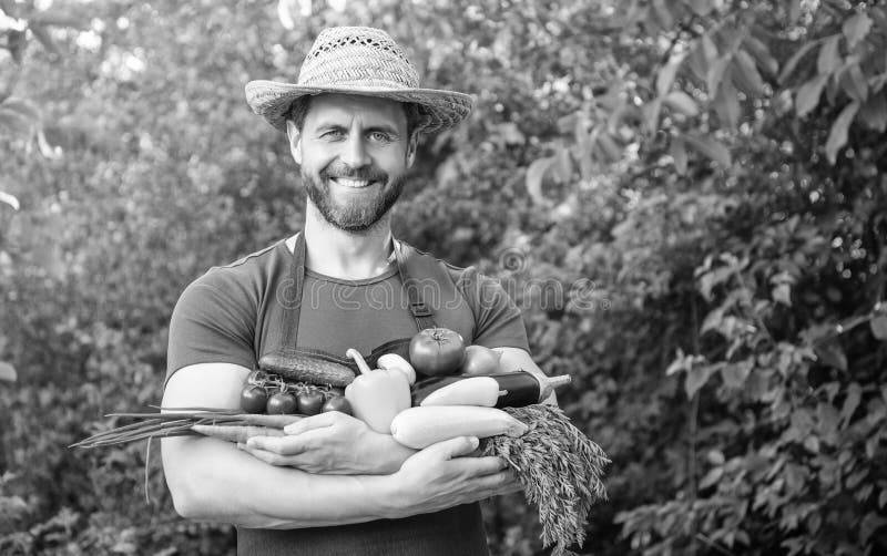 Horticulturist in Straw Hat Hold Fresh Ripe Vegetables Stock Image ...