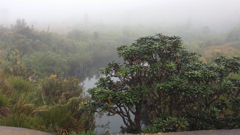 Horton Place National Park stockbild. Bild von zentral - 105151665