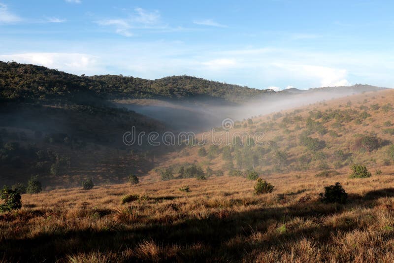 Horton Plains National Park in the Morning Stock Image - Image of scene ...