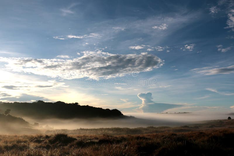 Horton Plains National Park in the Morning Stock Image - Image of ...