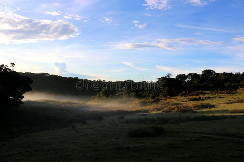 Horton Plains National Park in the Morning Stock Image - Image of ...