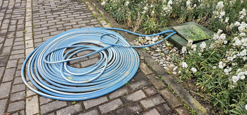 Hose Connected To Box in Flower Garden Stock Image - Image of device ...