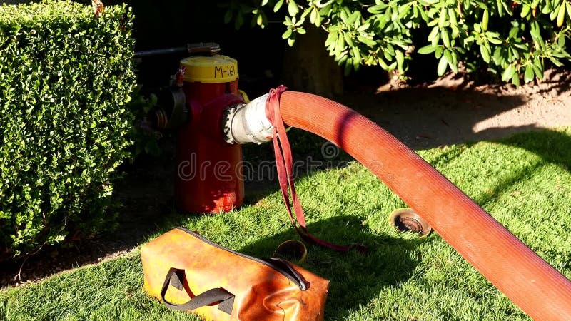 Fire Hydrant Spewing Water Out of River Stock Footage - Video of water ...