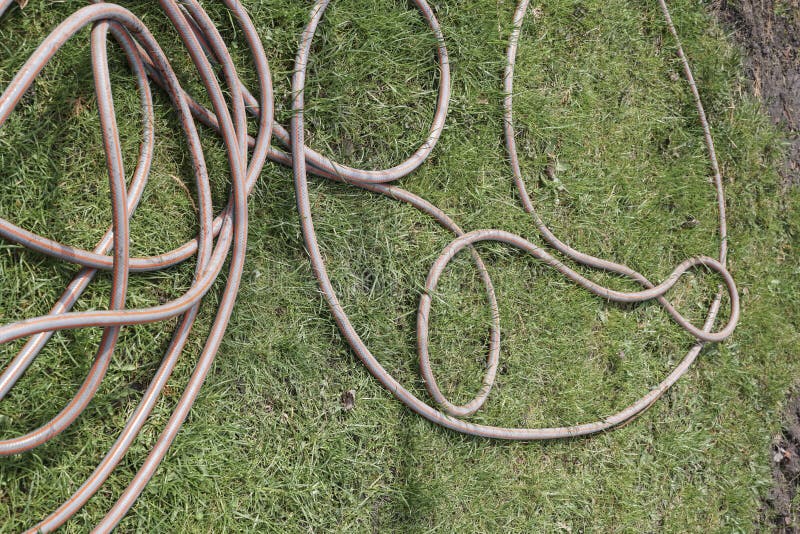 Hose on grass at a garden stock photo. Image of meadow - 154625168