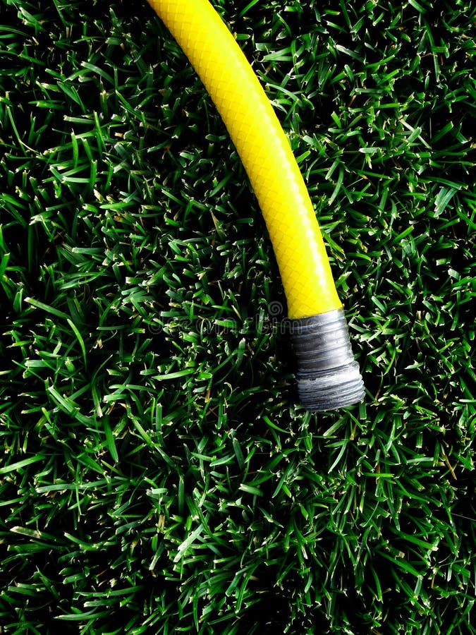 Hose on Green Grass stock image. Image of gardening, green - 32930909