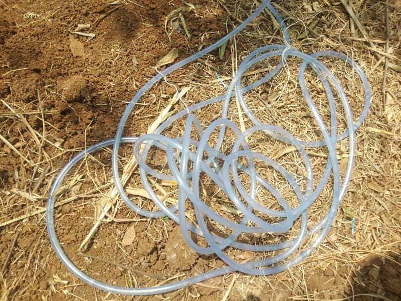 Hose for Measuring the Height of Objects so that they are Level Stock ...