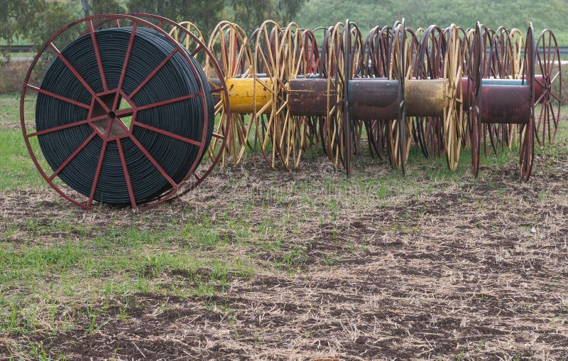 Hose spools on a lawn stock photo. Image of grass, hose - 31128830