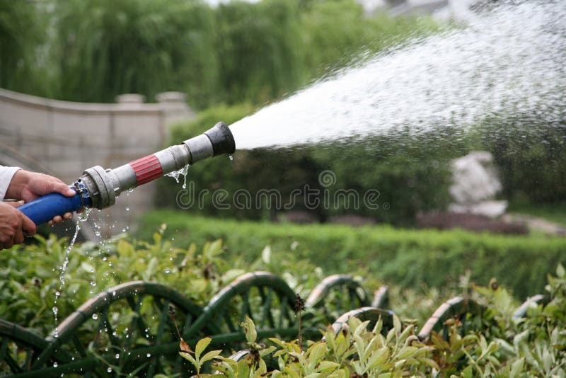 Hose Spraying Crops with Water Stock Image - Image of growing, cool ...