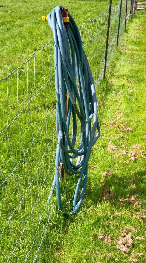 Hose stock photo. Image of fence, hanging, hose, water - 35984100