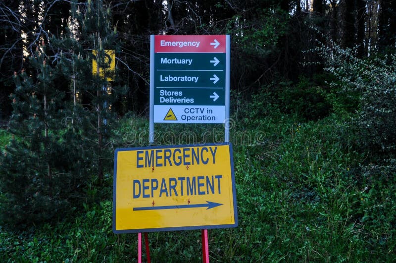 Hospital stock image. Image of nurse, medics, health - 314604137