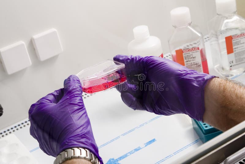 Hospital Medical Sample Tray Pipette Testing Laboratory Stock Image ...