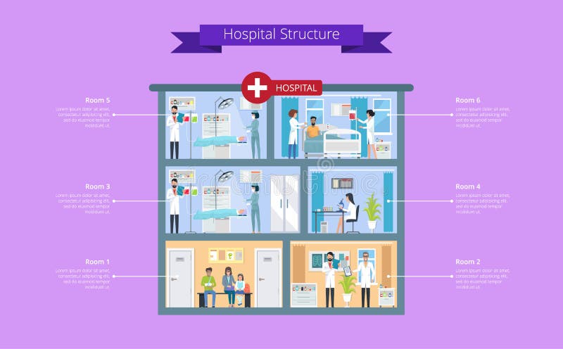 Hospital Structure Description Vector Illustration Stock Vector ...