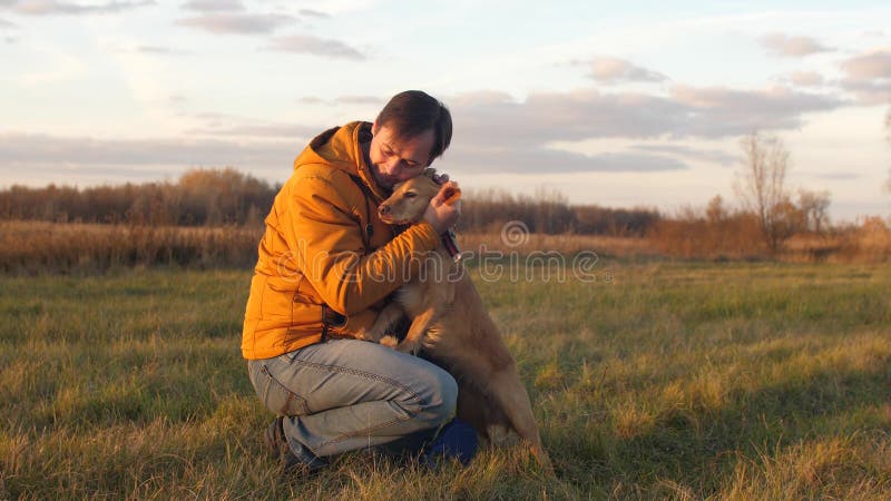 Host is Hugging Dog, Playing with the Pet in Park Stock Photo - Image ...