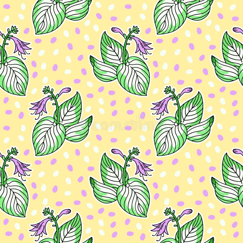 Hosta, a Garden Plant, Spring or Summer Gentle Pattern, Vector Seamless Pattern in the Style of ...