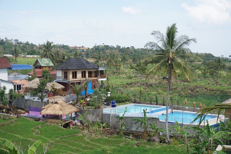 Penginapan Hostelry is Lodging on the Edge of the Rice Fields Stock ...