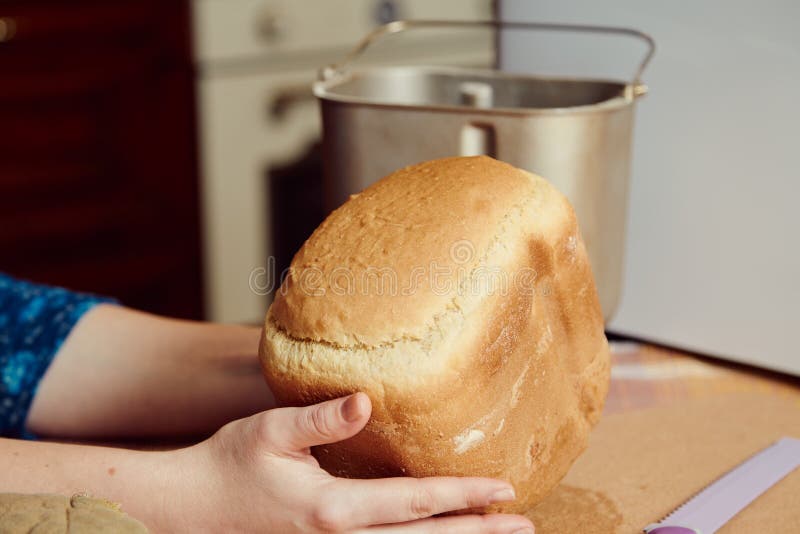 Hostess Keeps Fresh Bread from Electric Bread Maker Stock Image - Image ...