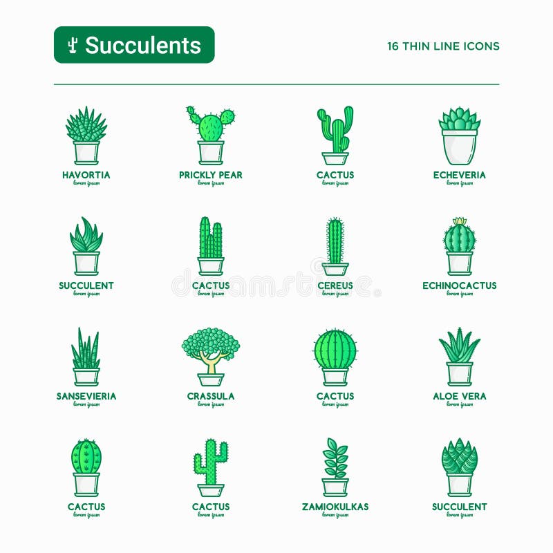 Web Hosting Panel Stock Vector Illustration Of Computer 16984040