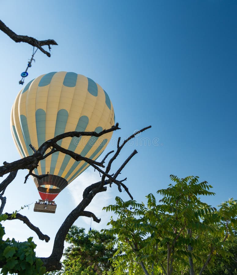 Hot Air Balloon Flying Over Forest Stock Image - Image of outdoor ...