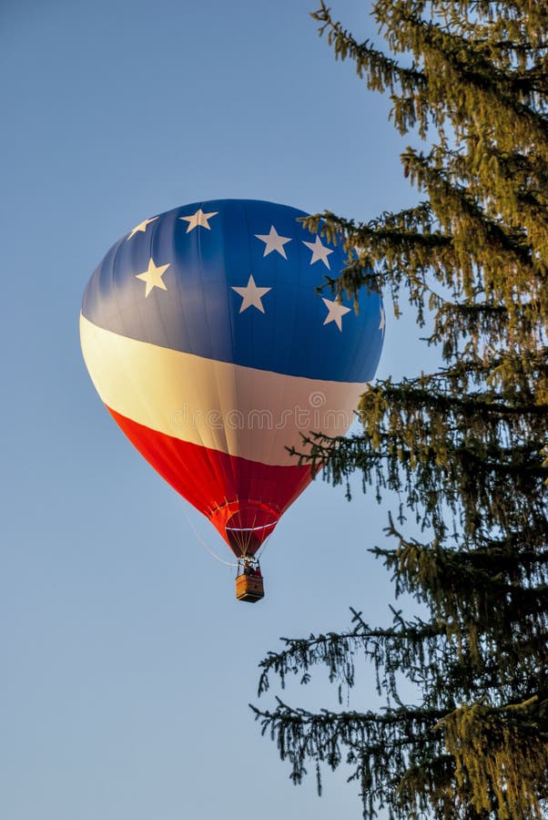Hot Air Balloon and Pine Tree Stock Image - Image of basket, trees ...