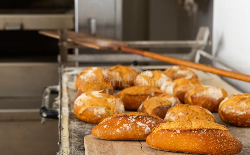 Hot Appetizing Baguettes on Bakery Oven Tray Stock Image - Image of ...