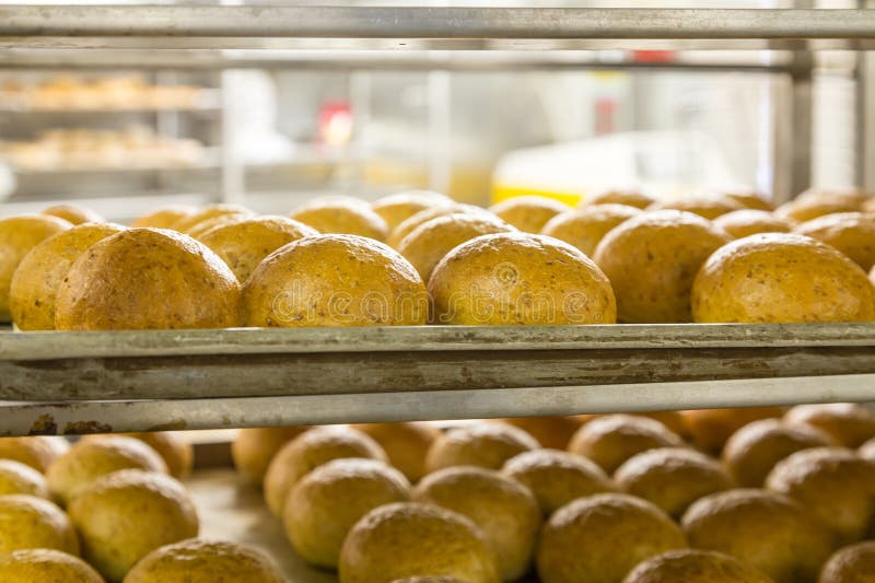 Hot Baked Bread in Kitchen stock photo. Image of production - 62033852