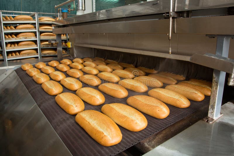 Hot baked breads on a line stock image. Image of manufacturing - 39143787