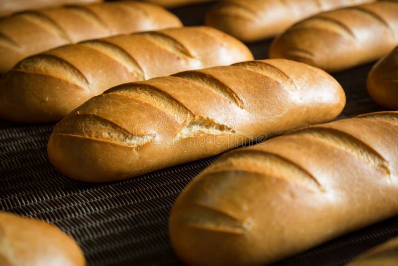Hot baked breads on a line stock image. Image of manufacturing - 39143787
