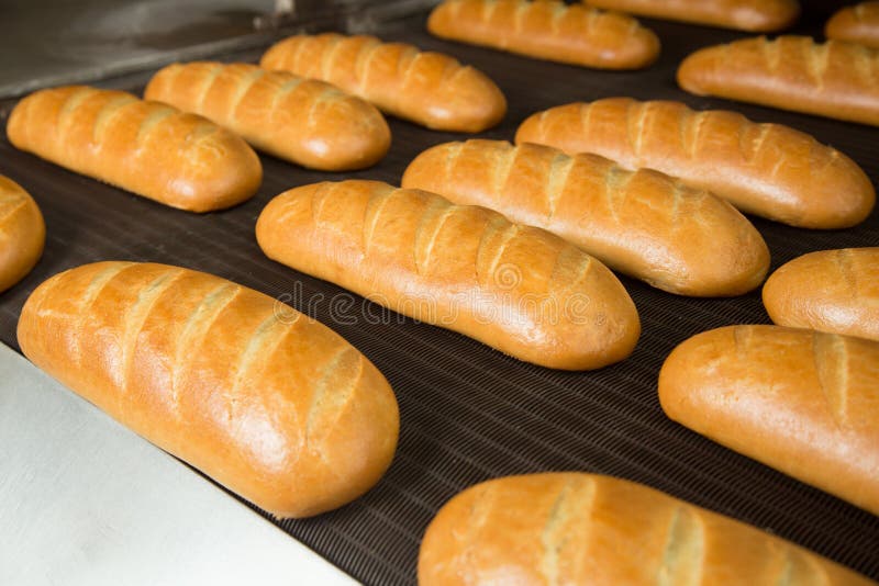 Hot baked breads on a line stock image. Image of manufacturing - 39143787