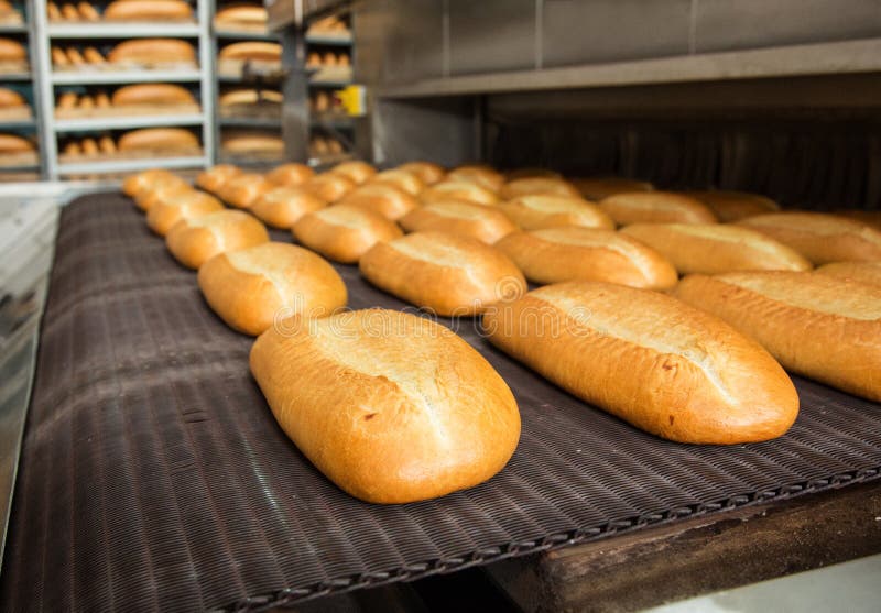 Hot baked breads on a line stock photo. Image of conveyor - 64596318