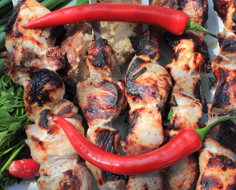 Hot barbecue and hot chili stock image. Image of season - 53943285