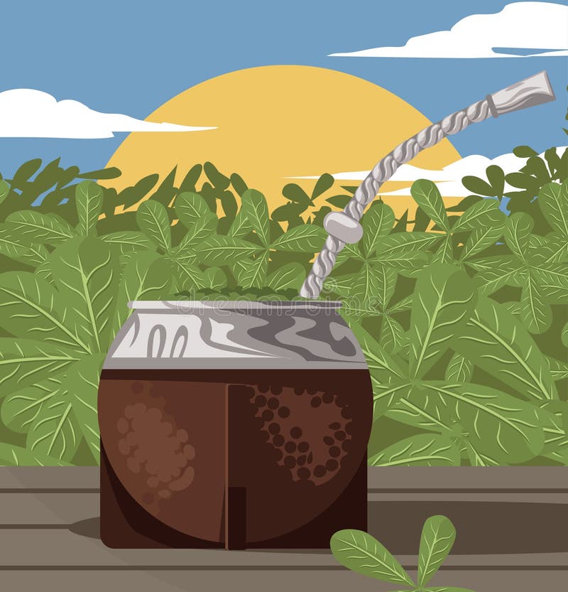 Hot Beverage Argentinian Yerba Mate Stock Vector - Illustration of ...
