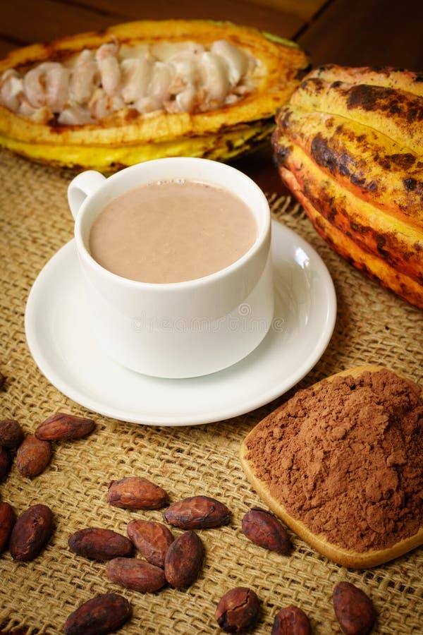 Hot Cacao Drink, Raw Cocoa Fruit, Cacao Beans, Powder Stock Image ...
