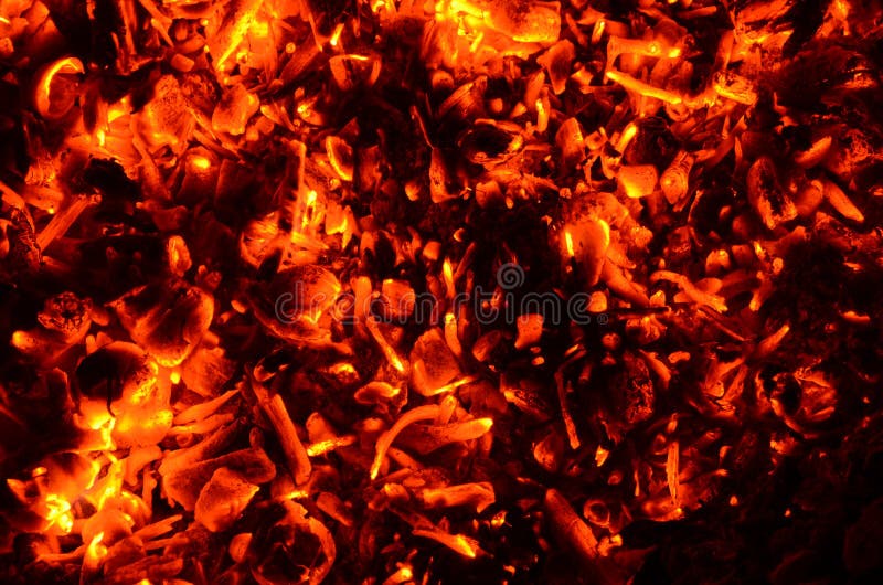 Extinct fire stock image. Image of wood, wild, ground - 93659135