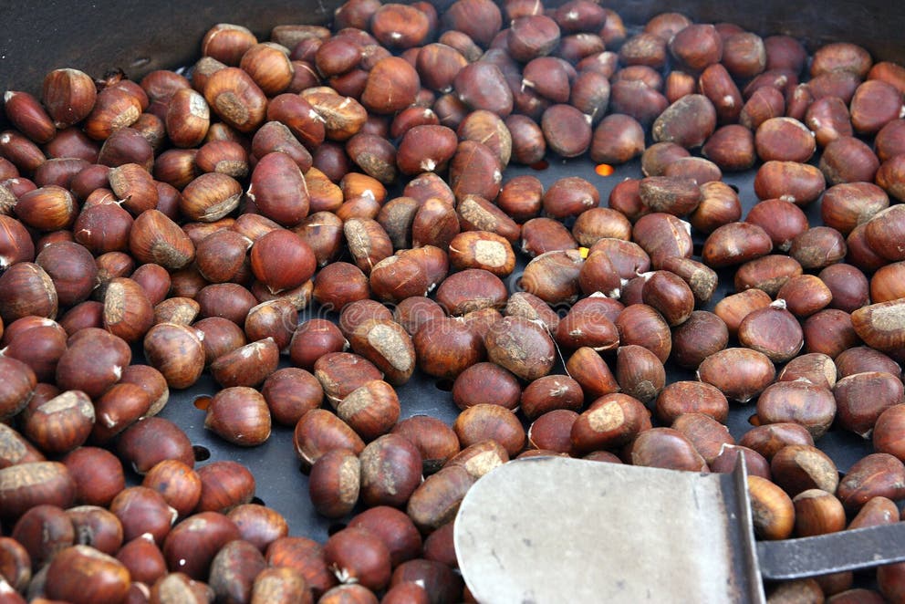 Hot Chestnuts stock image. Image of calories, food, chestnuts - 6837309