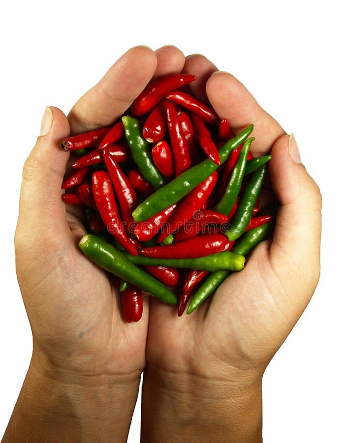 Hot Chili Peper in the Hands Stock Photo - Image of appetizer, ripe ...
