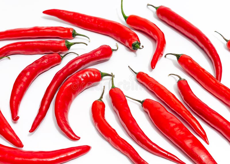 Hot Chili Pepper Circle Long Shape on White Background. Many Pods in a ...