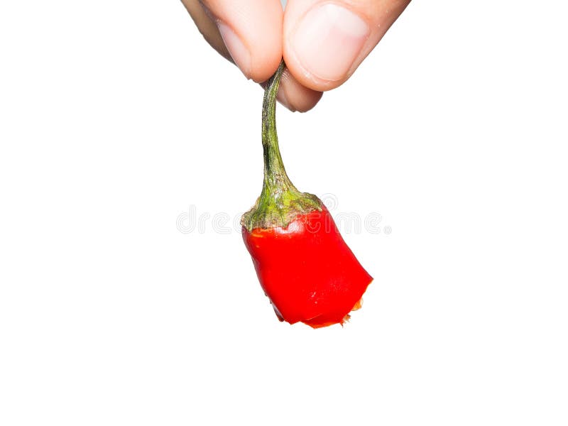 690 Finger Chilli Red Stock Photos - Free & Royalty-Free Stock Photos ...