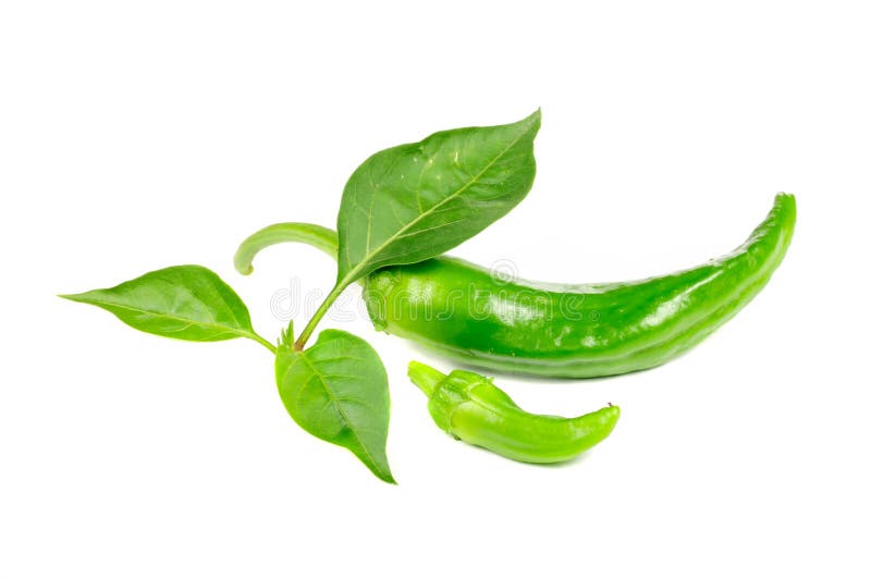 Hot Chili Peppers With Green Leaves Stock Photo - Image of spice, chili ...
