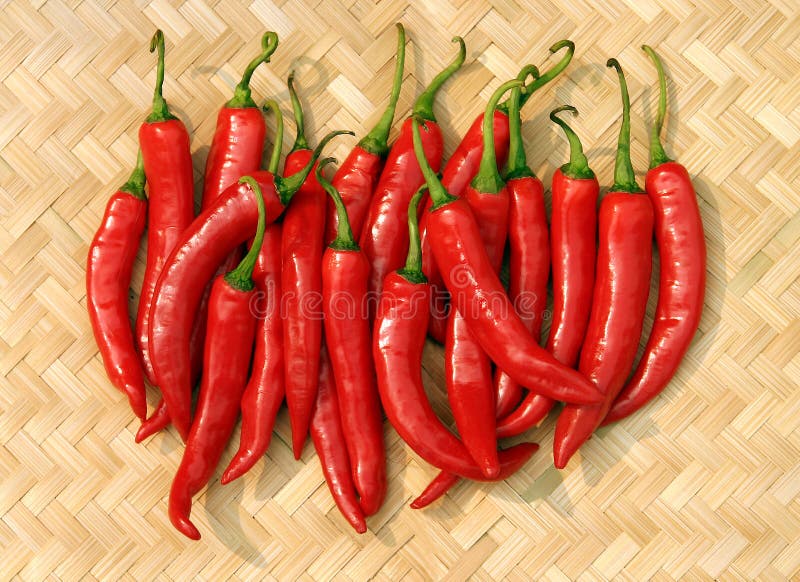Red chillies stock image. Image of eastern, east, cookery - 1006183