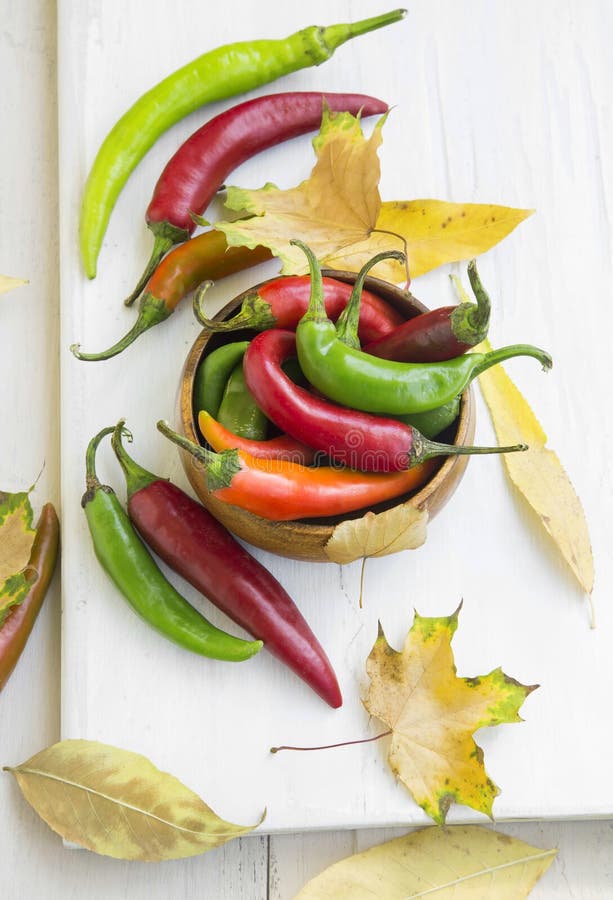 Hot Chilli Peppers and Autumn Leaves Stock Image - Image of closeup ...