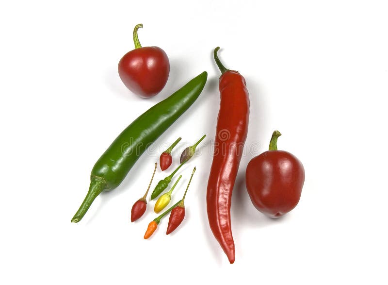 Hot Chillies Picture. Image: 13755777