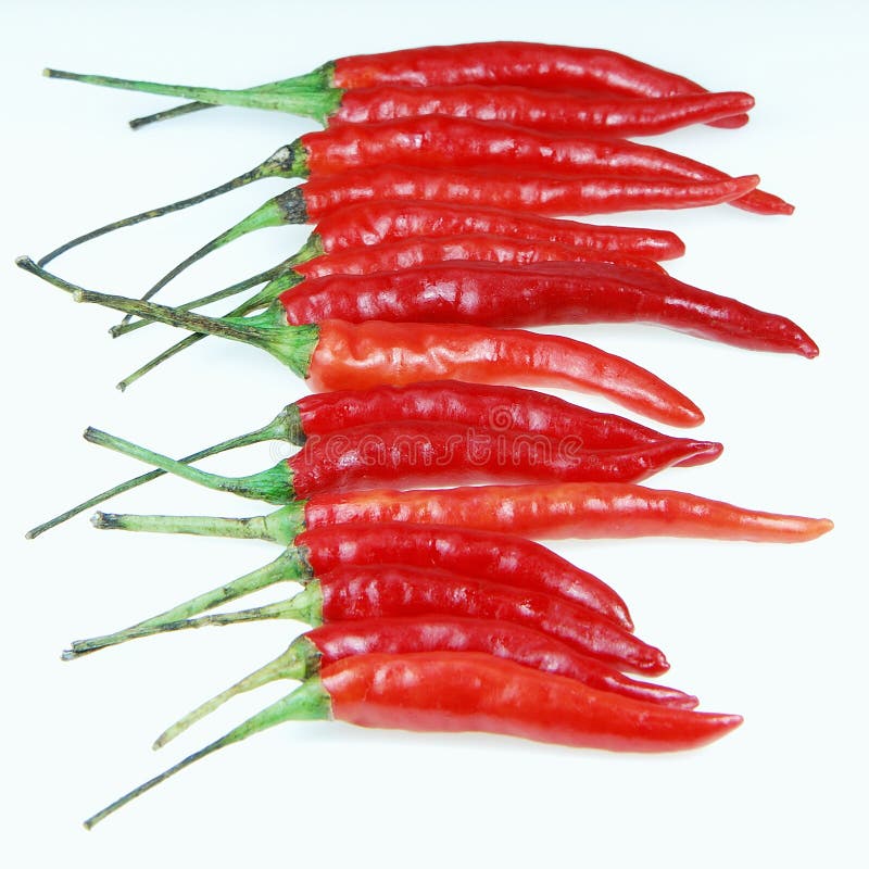 Hot chillies stock image. Image of tasty, delicious, health - 1645265