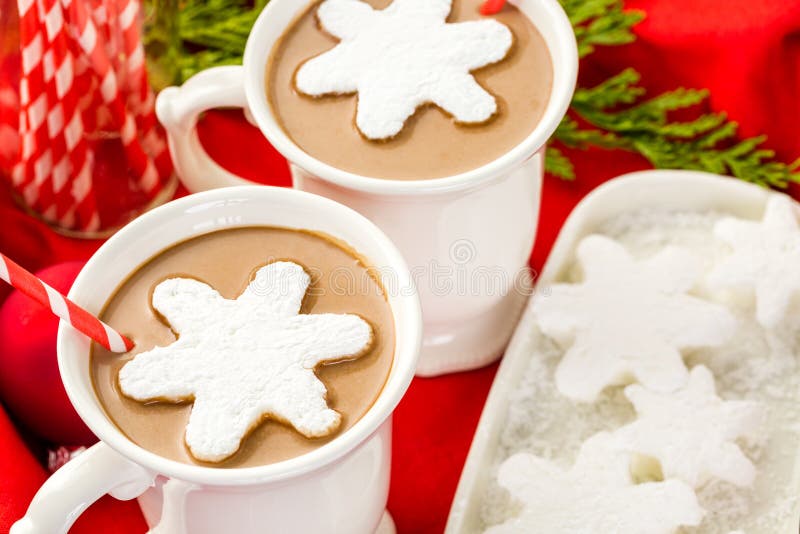 Hot chocolate stock photo. Image of christmas, beverage - 48128844