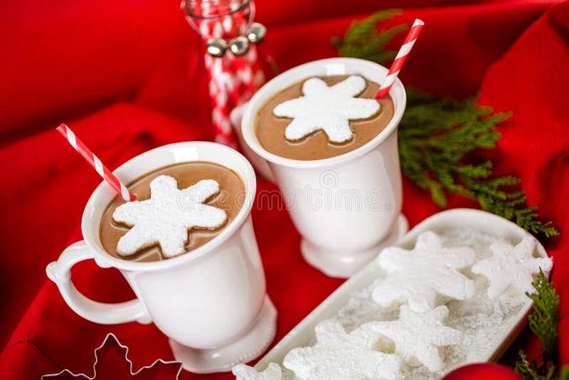 Hot chocolate stock image. Image of nature, holiday, homemade - 48129289