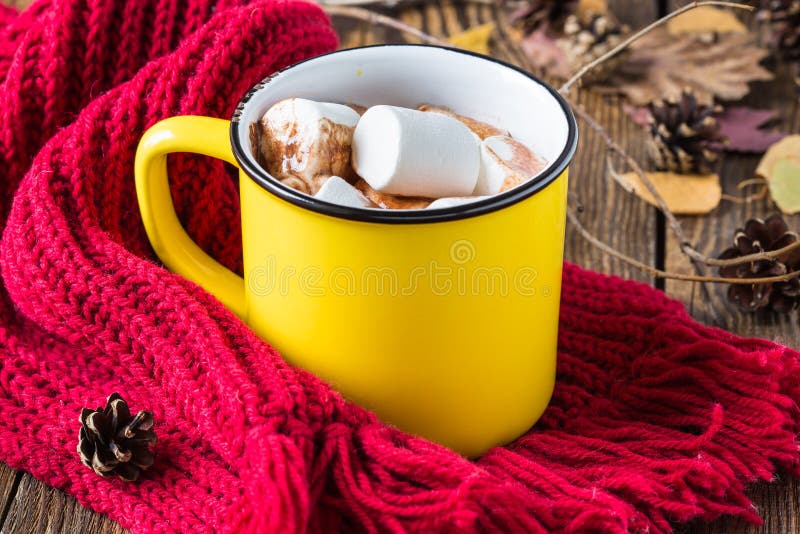 Hot Chocolate with Marshmallow Stock Photo - Image of drink, closeup ...