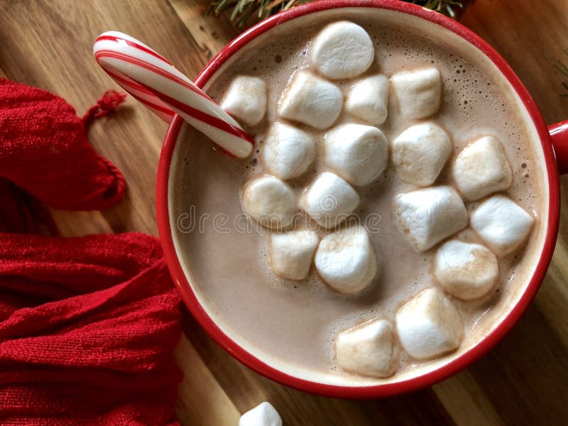 Hot cocoa stock photo. Image of vintage, liquid, gourmet - 134421648