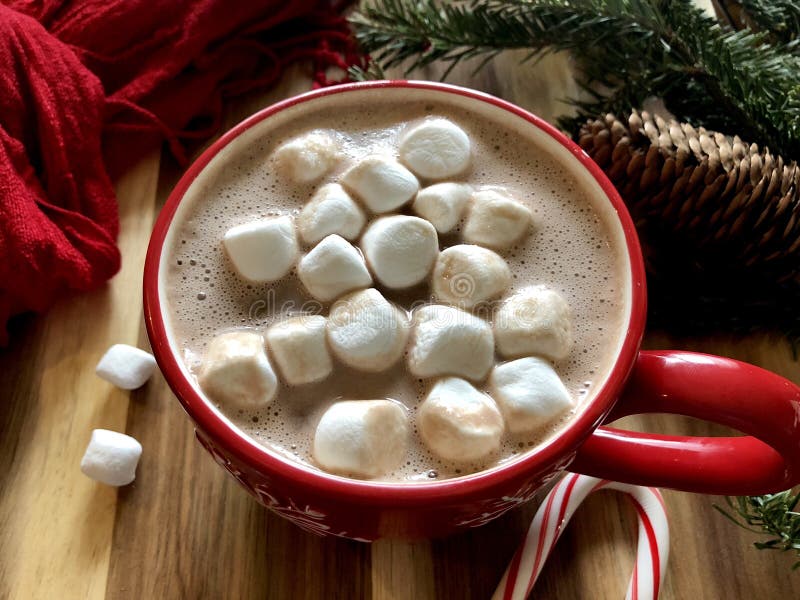 Hot cocoa stock image. Image of drink, culinary, dessert - 134421649