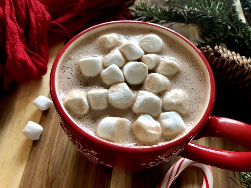 Hot cocoa stock photo. Image of cocoa, décor, cream - 134421650